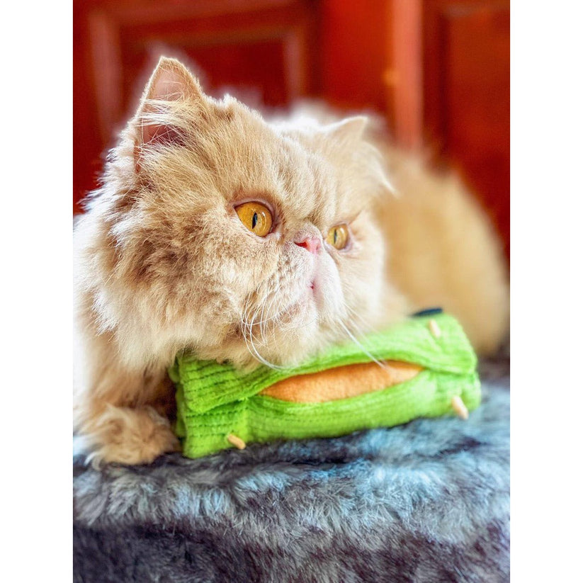 Waggle Otah Squeakie Chew Toy – NOM